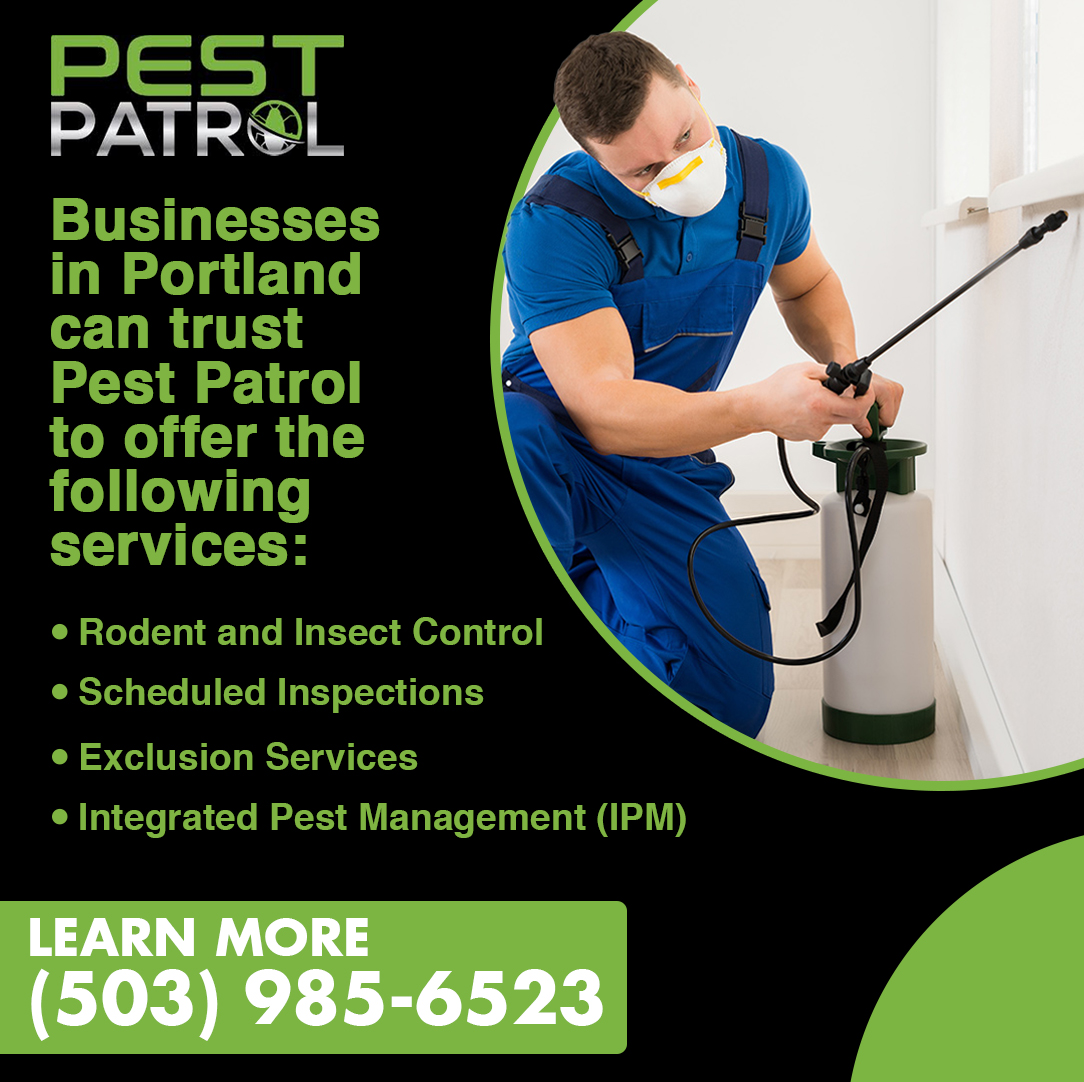 Pest Patrol’s Solutions For Businesses To Stay Compliant with Local ...