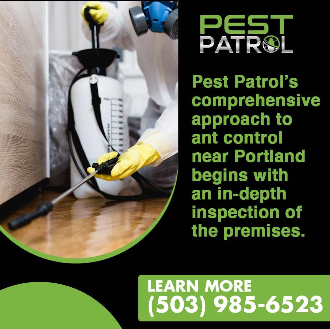 Pest Patrol Tackles Ant Problems in Oregon with Expert Ant Control ...