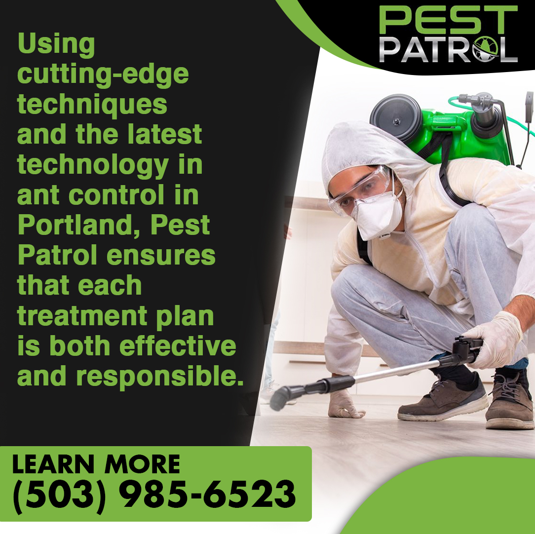 Pest Patrol Tackles Ant Problems in Oregon with Expert Ant Control ...