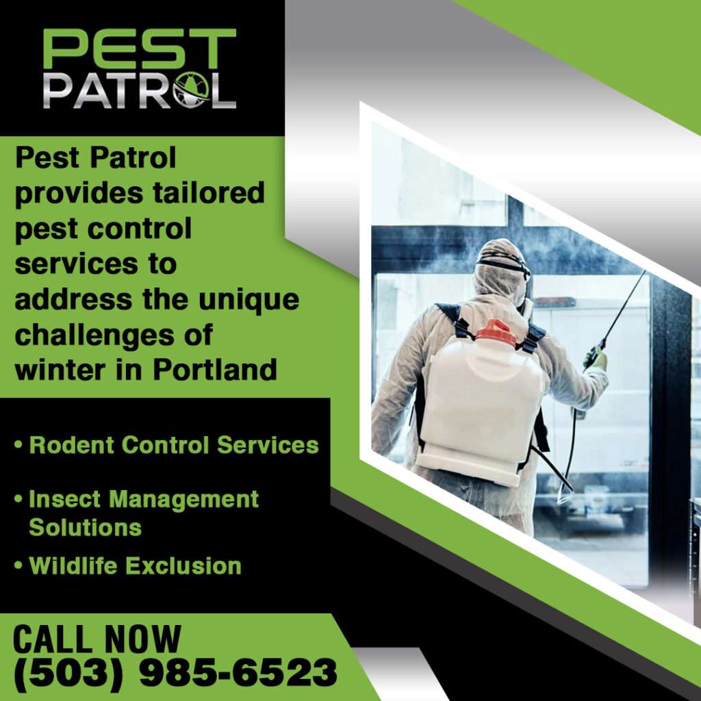 Pest Patrol: How Winter Weather Affects Pests and Expert Tips to ...