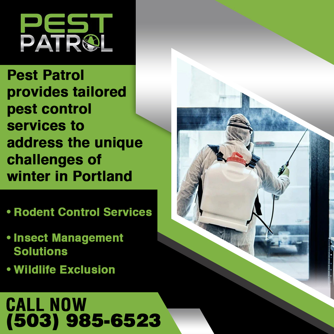 Pest Patrol: How Winter Weather Affects Pests and Expert Tips to ...