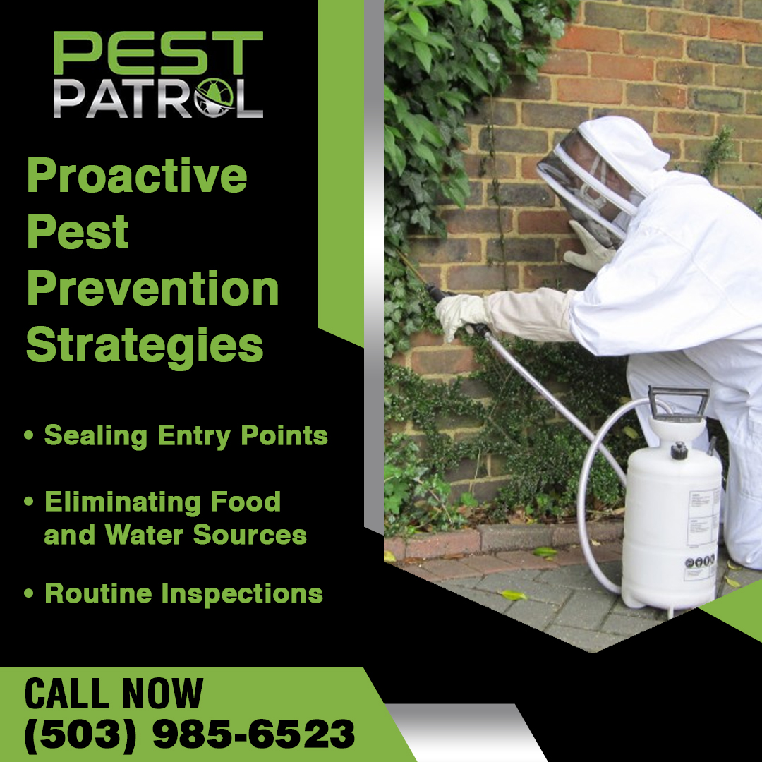 Pest Patrol: How Winter Weather Affects Pests and Expert Tips to ...