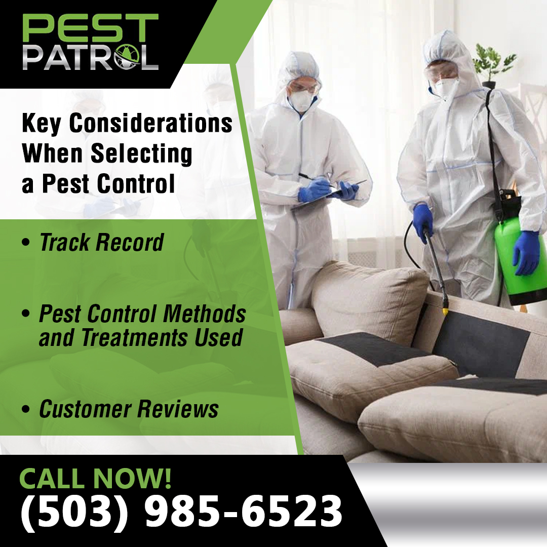 Top 5 Common Pests in Portland and How Pest Patrol’s Pest Control ...
