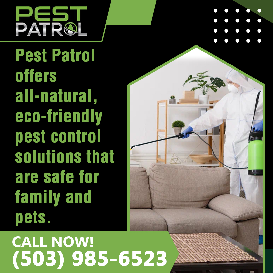 Top 5 Common Pests in Portland and How Pest Patrol’s Pest Control ...