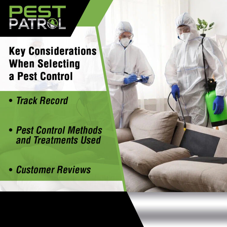 Pest Patrol: A Guide to Choosing the Best Professional Pest Control ...