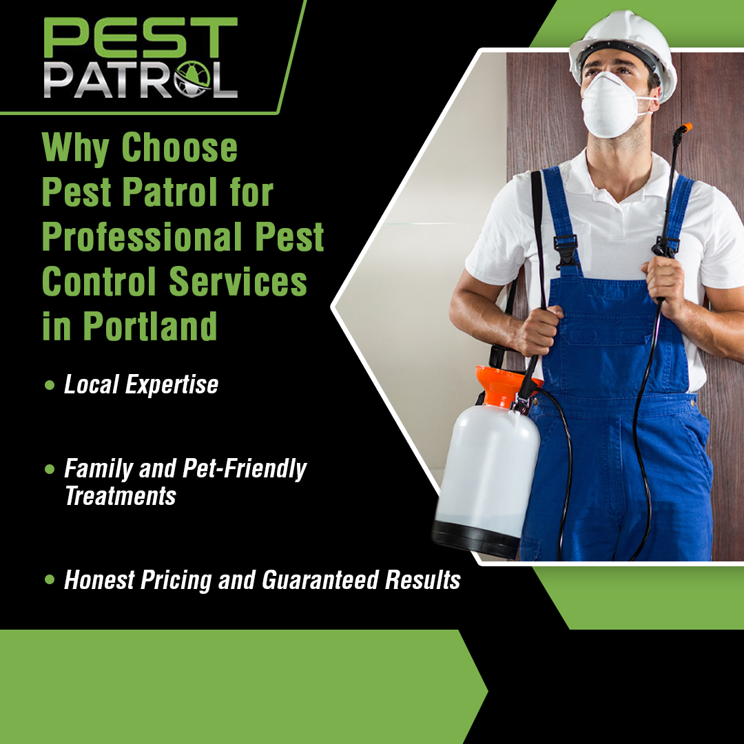 Pest Patrol Explains Key Signs You Need Pest Control Services in ...